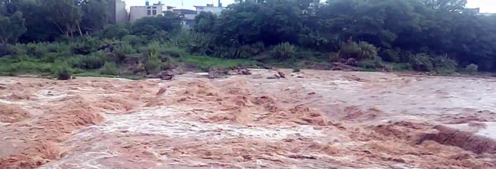Nullah Leh to have manmade forest spanning 3 acres - Zameen News